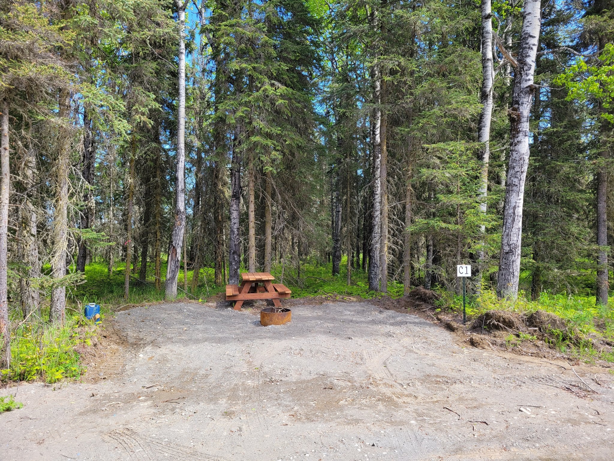 Camper RV Site 1- July 2025 | BlueBird Campground