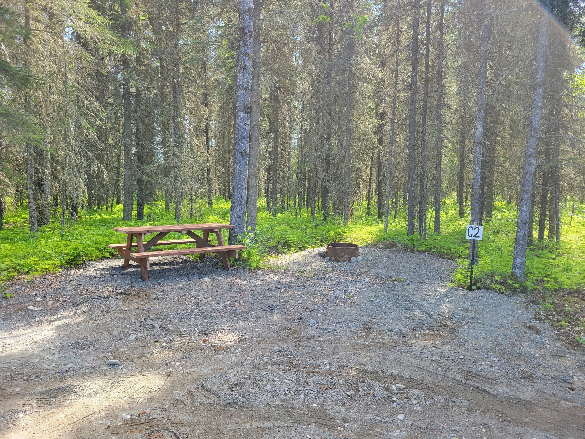 Camper RV Site 2- July 2025 | BlueBird Campground