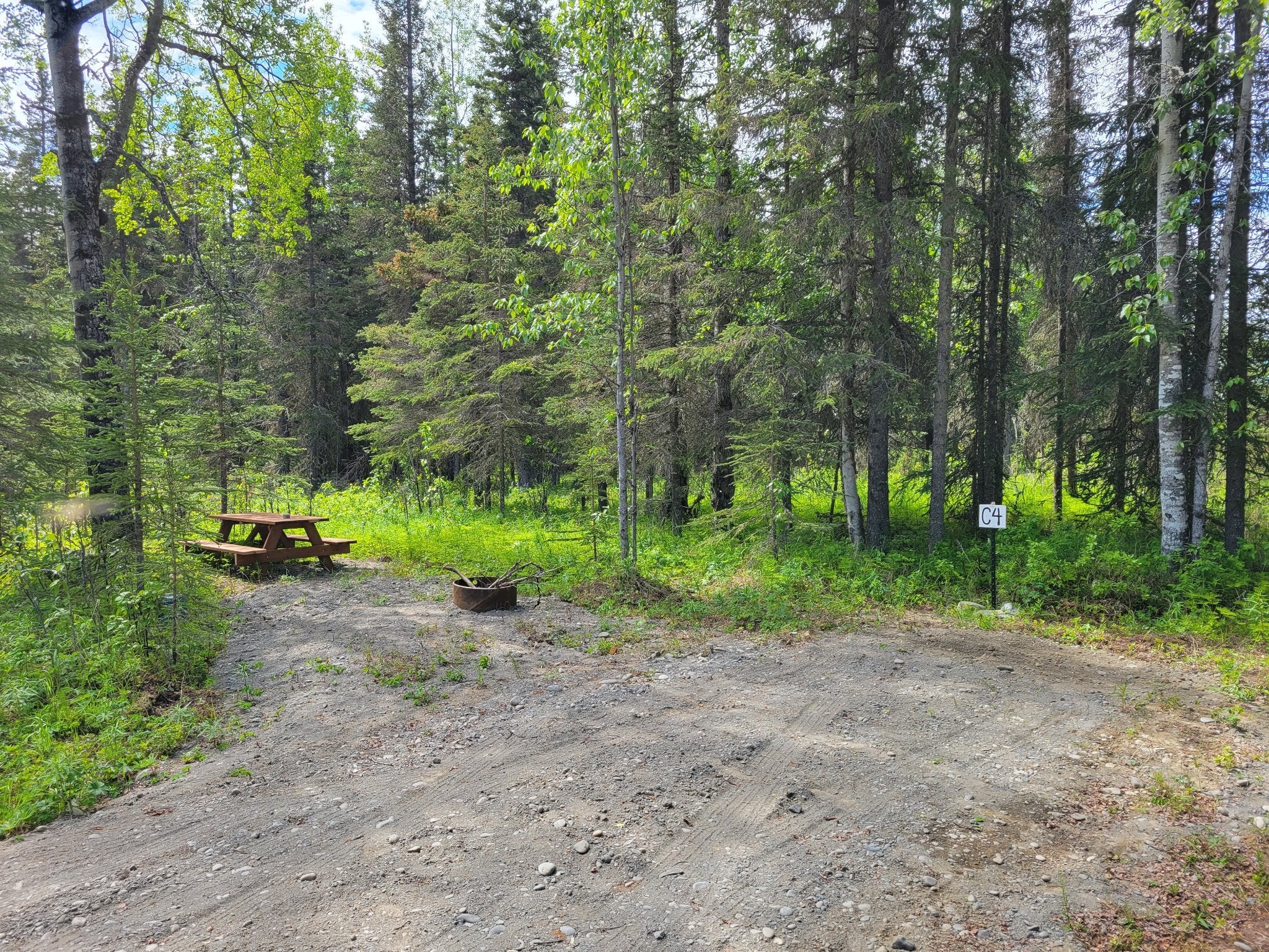 Camper RV Site 4- July 2024 | BlueBird Campground